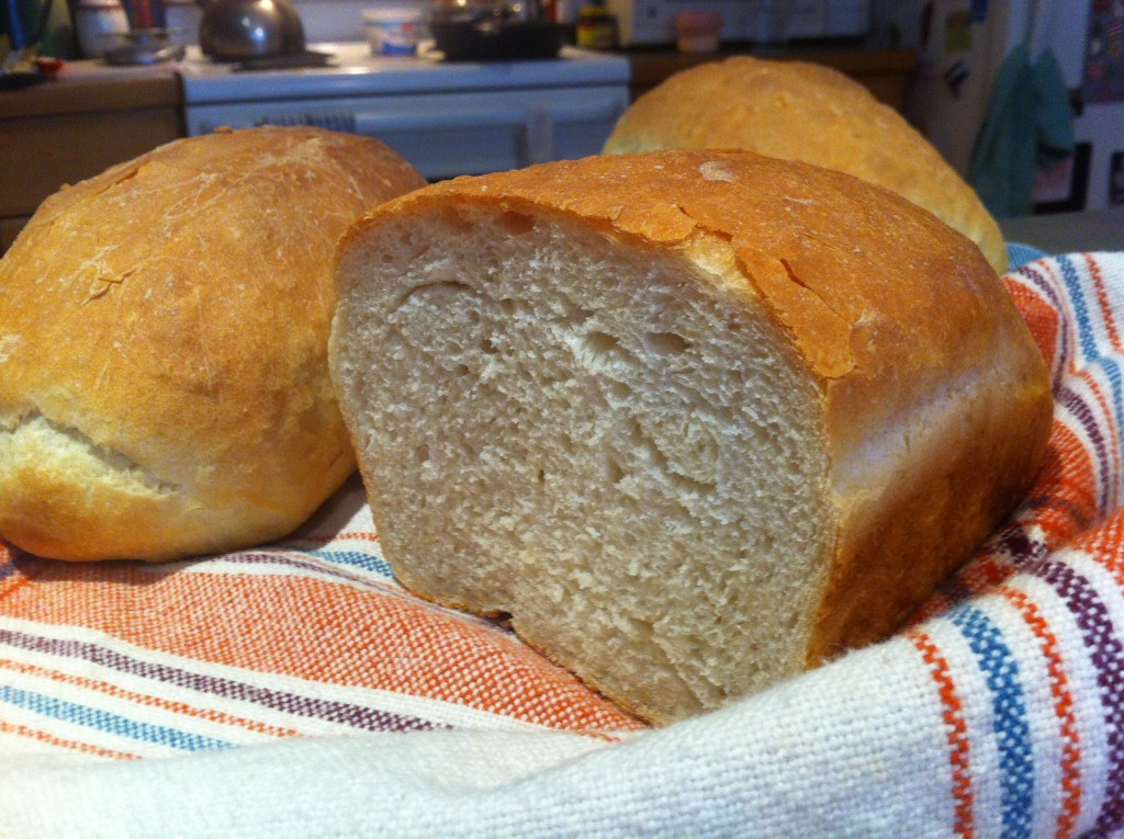 Family Recipes - Candace Shaw