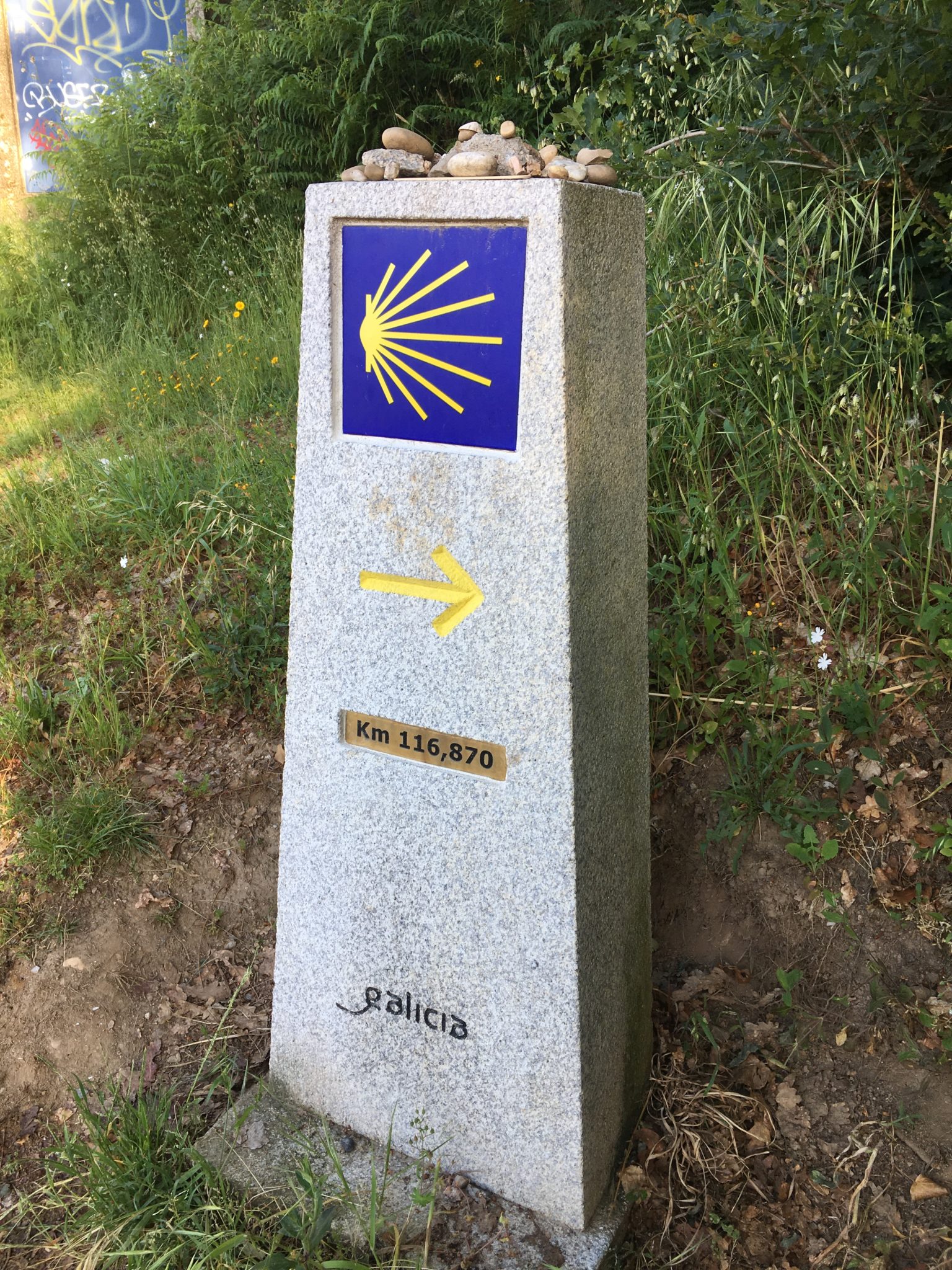 Camino Day 7 - Tui to Porriño - Candace Shaw